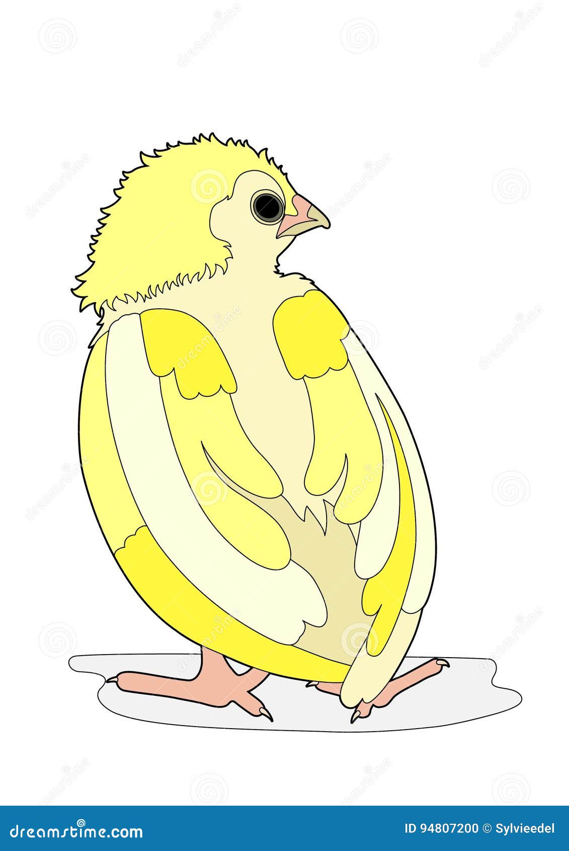 Big bird back stock vector. Illustration of chick, barnyard - 94807200