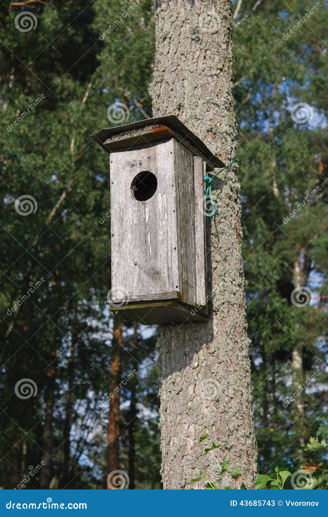 Big Bird Box stock image. Image of house, bird, wooden - 43685743