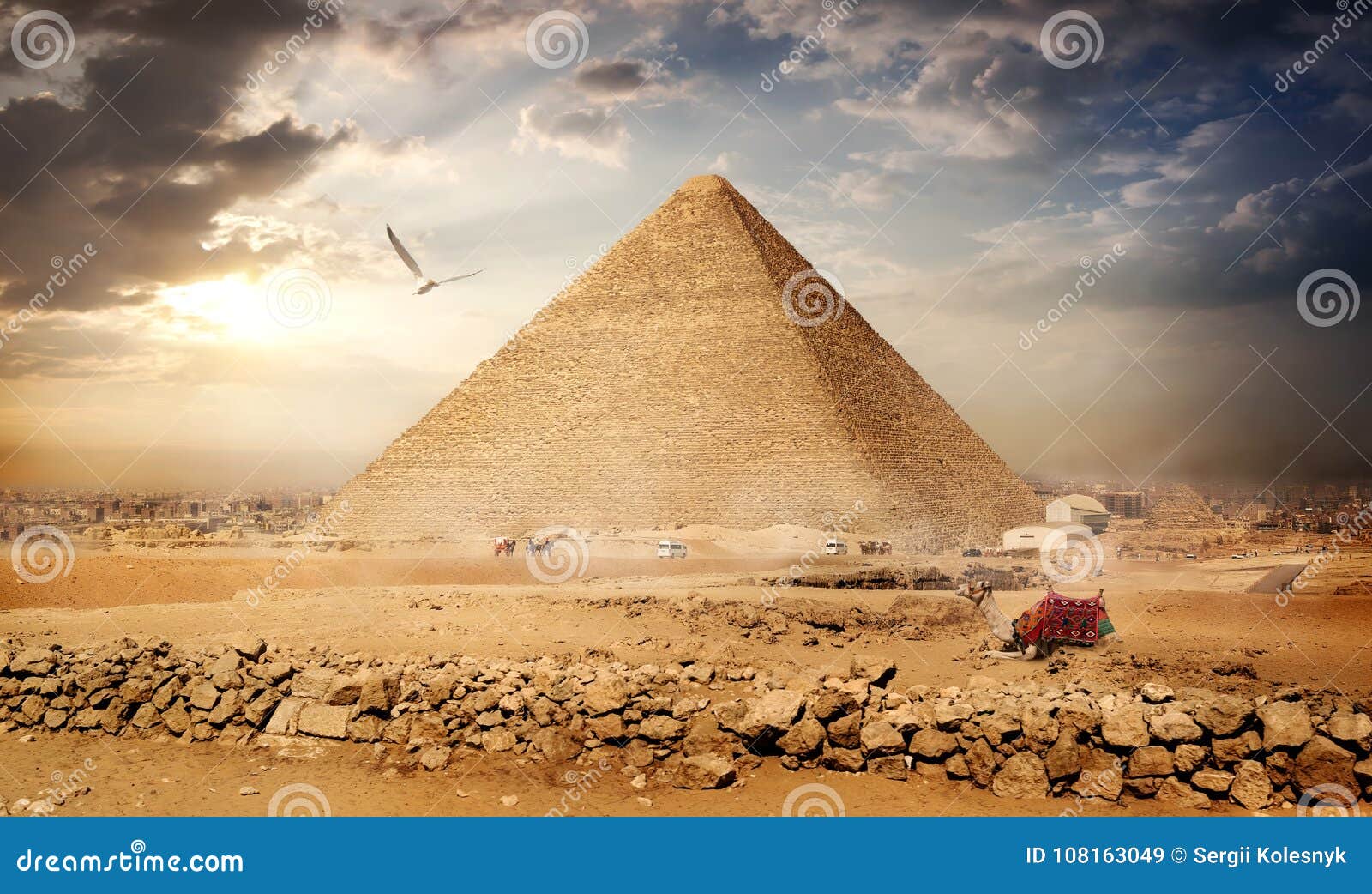 Big bird over pyramids stock image. Image of necropolis - 108163049