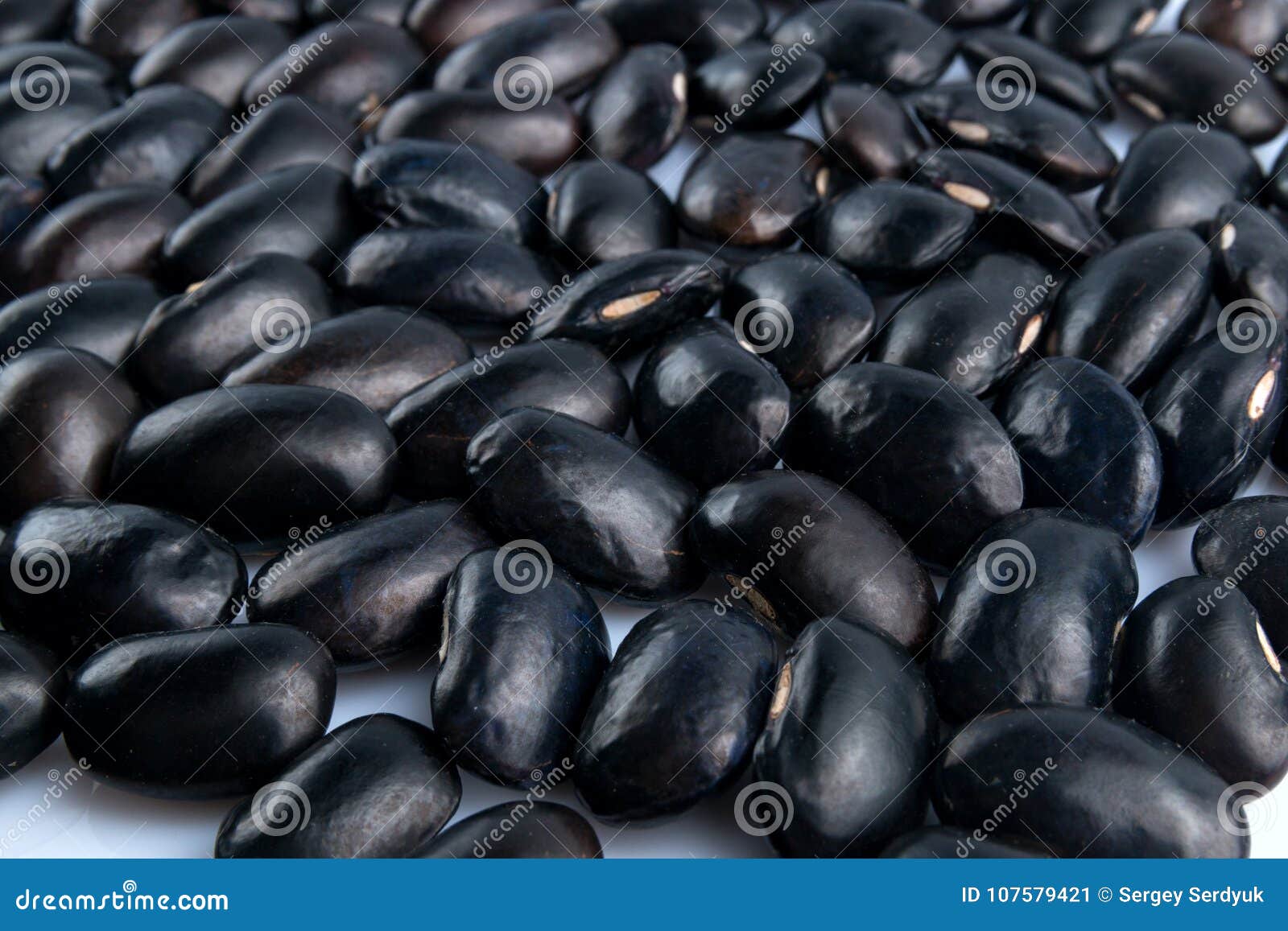 Big Black Bean Grain, Bean Pod, a Lot of Beans Texture Pattern B Stock ...