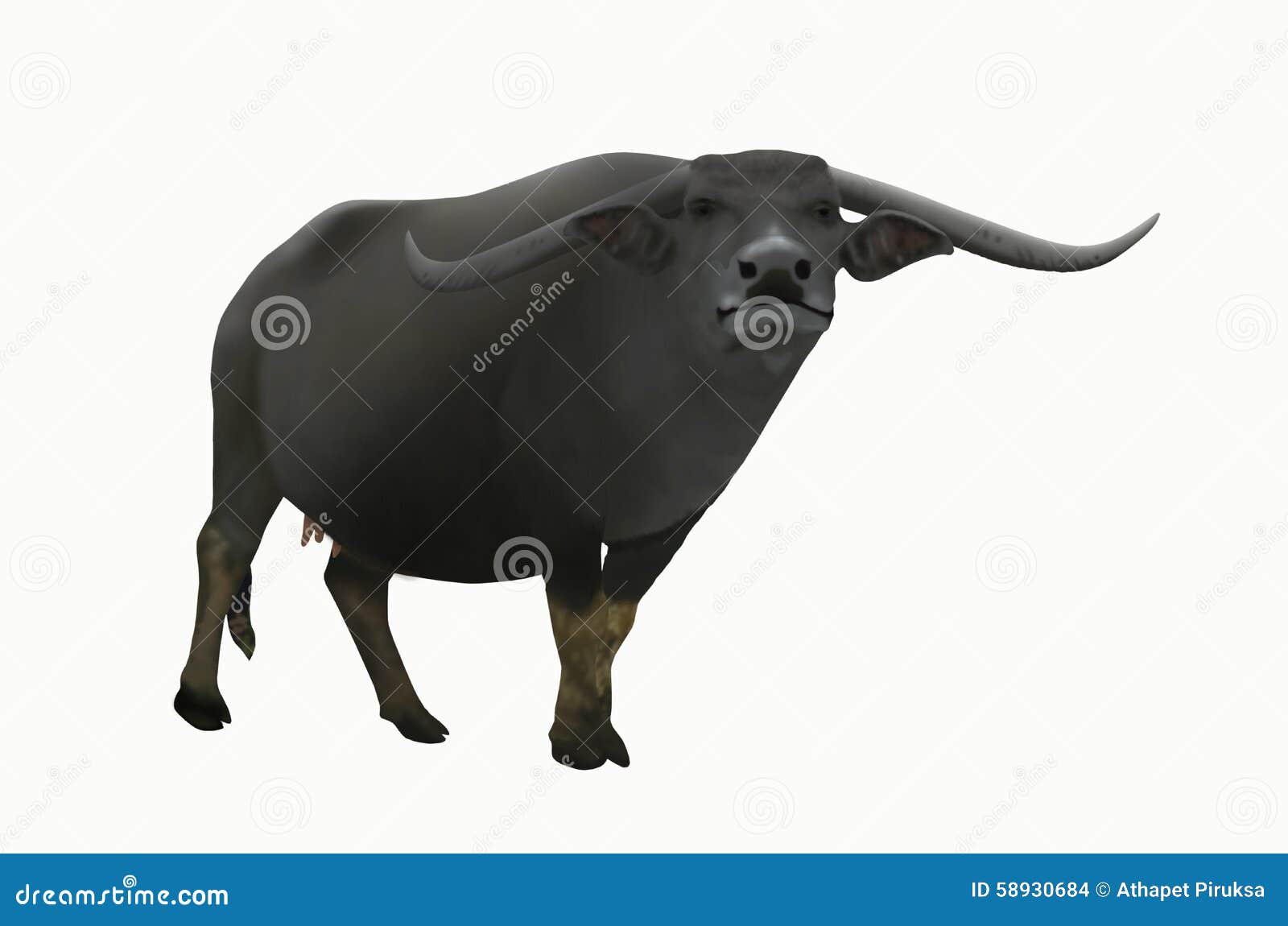 Fat Buffalo Stock Illustrations – 145 Fat Buffalo Stock Illustrations ...