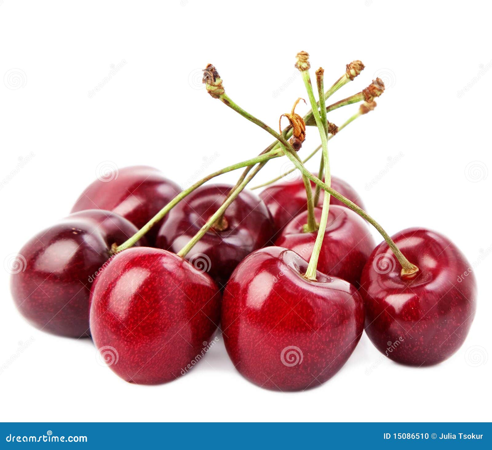 Big black cherries. stock photo. Image of green, fresh - 15086510