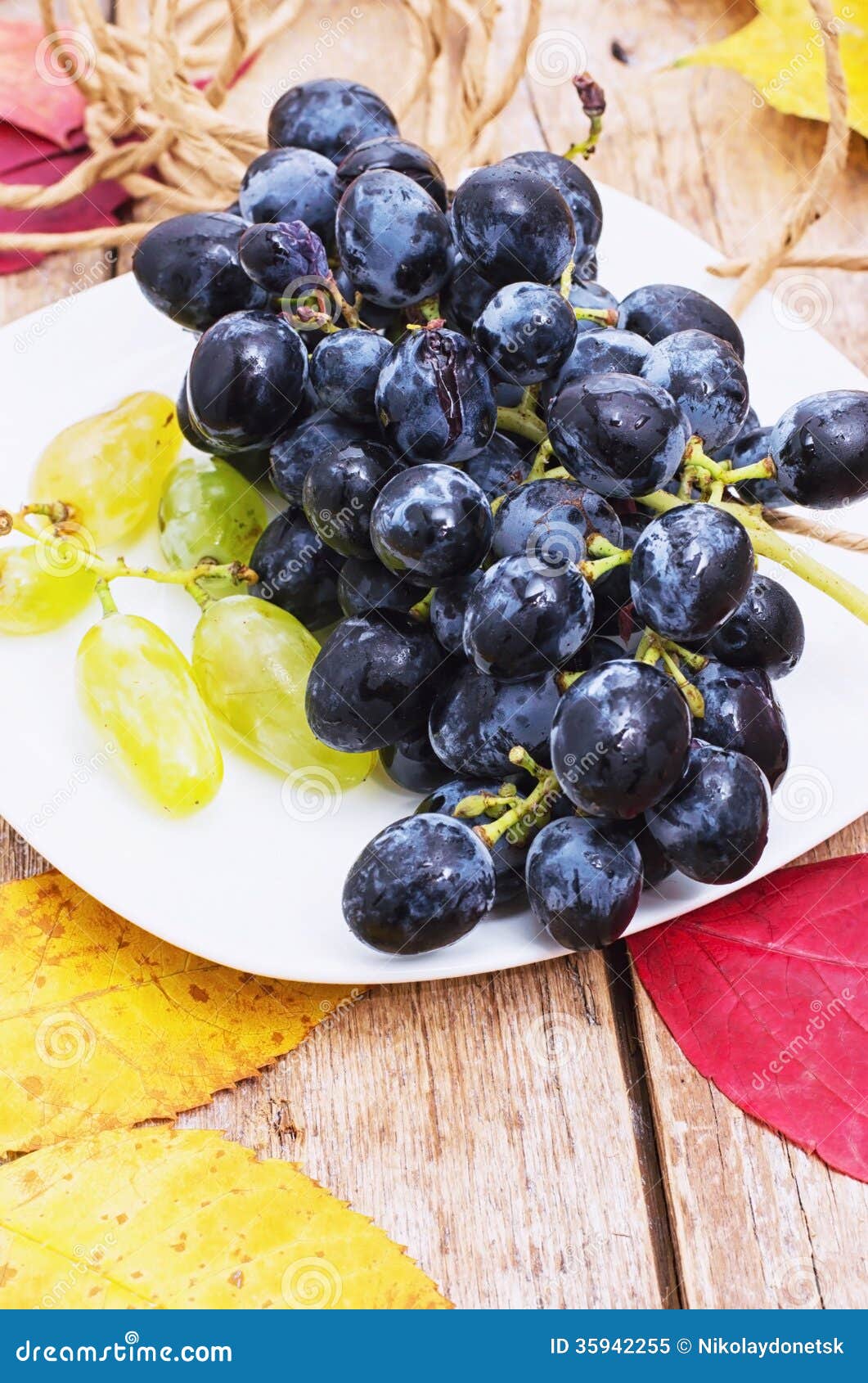 Big black grape stock image. Image of round, berry, clay - 35942255