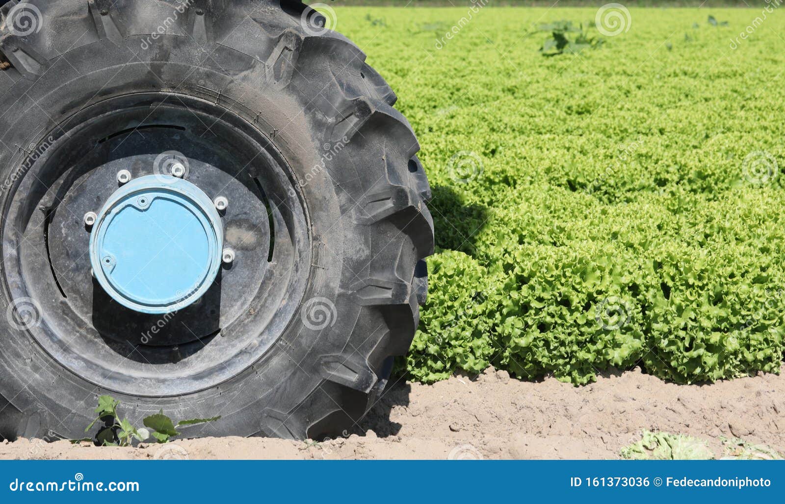 Big Black Tire of a Tractor Stock Photo - Image of farming, culture ...