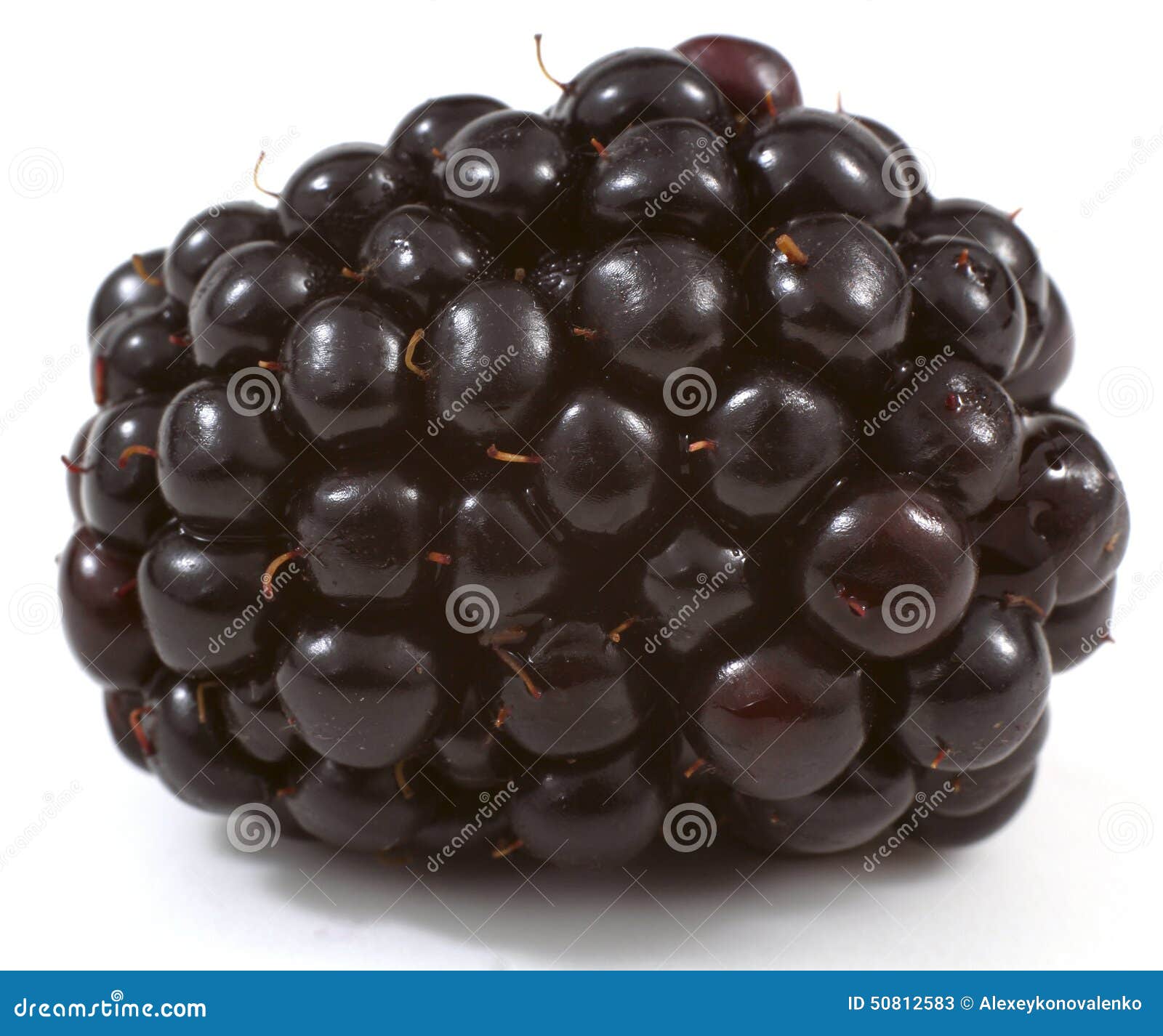 Big blackberry stock image. Image of isolated, berry - 50812583