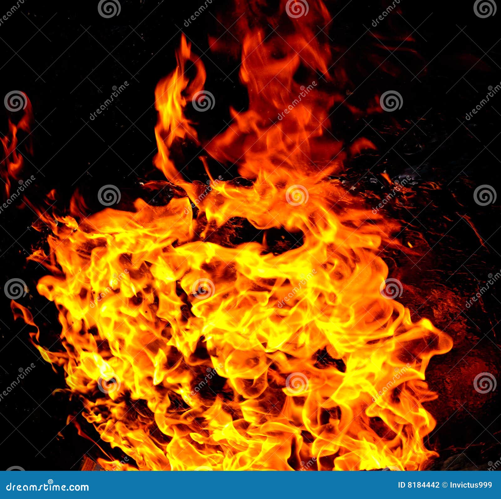 Big blast of fire stock photo. Image of fuel, fire, campfire - 8184442
