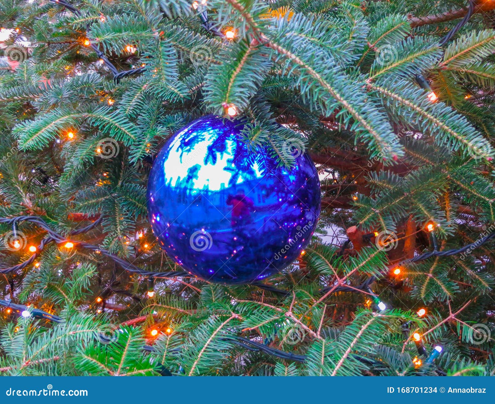 Big Blu Ball on a Christmas Tree in the Park Stock Photo - Image of ...