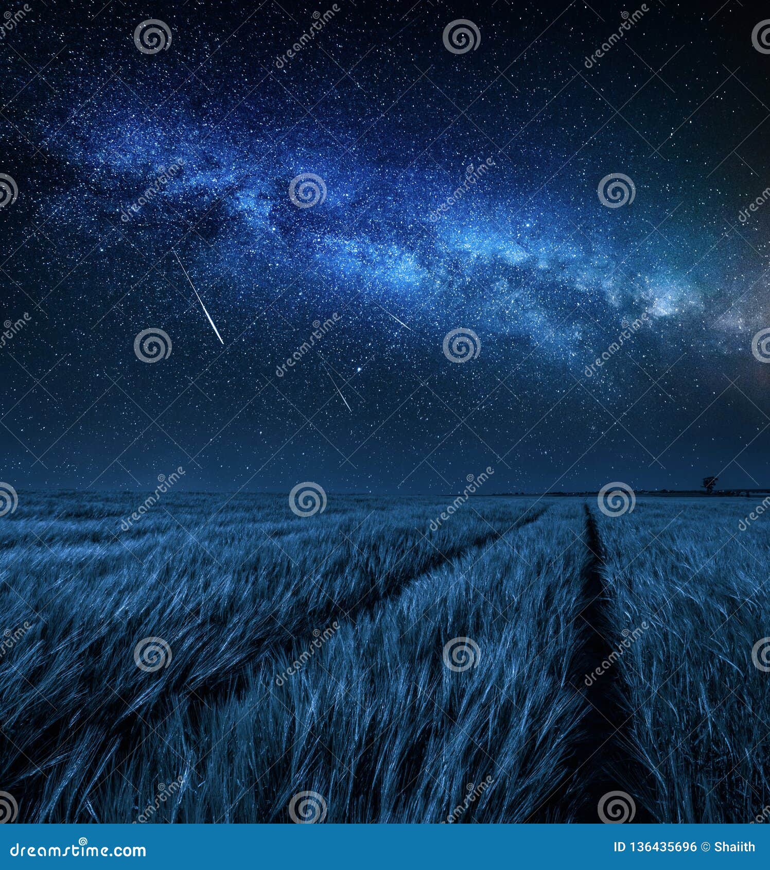 Big and Blue Milky Way Over Field at Night Stock Photo - Image of dark ...