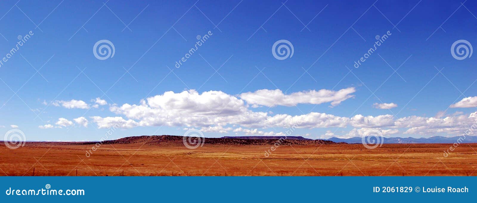 Big Blue Sky Golden Prairie Stock Image - Image of horizon, amber: 2061829
