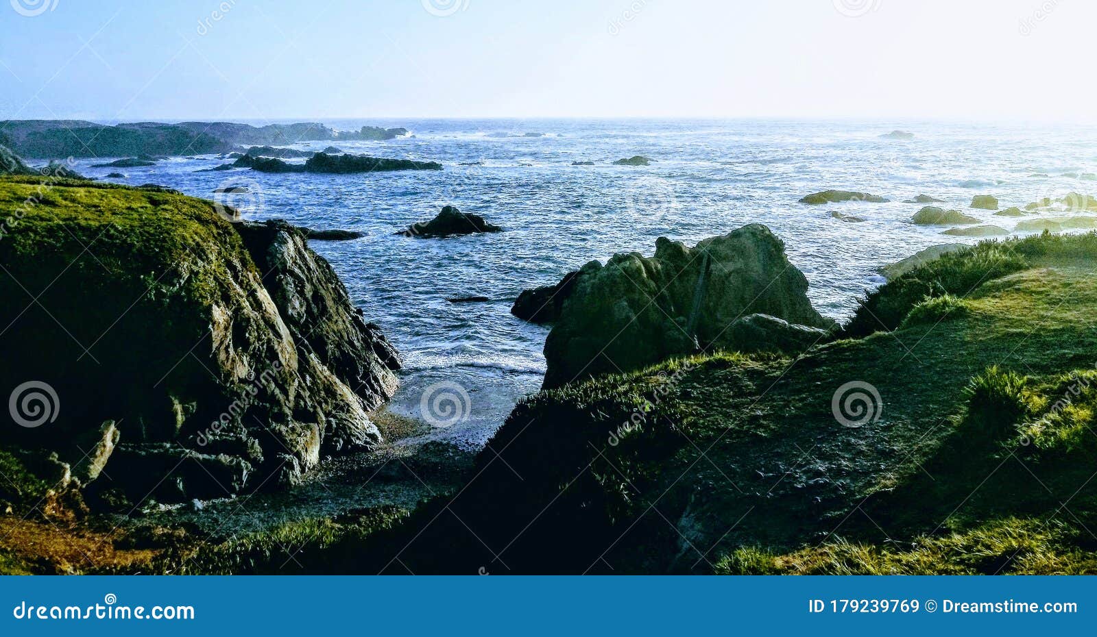 Big Blue View Ocean stock image. Image of branch, bird - 179239769