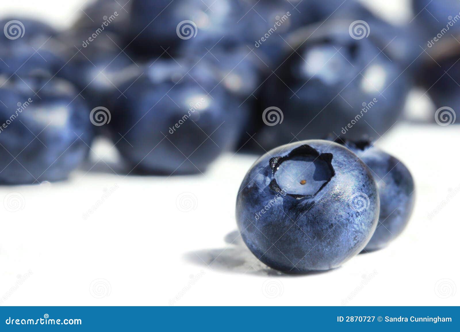 Big blueberries stock image. Image of pattern, blueberry - 2870727