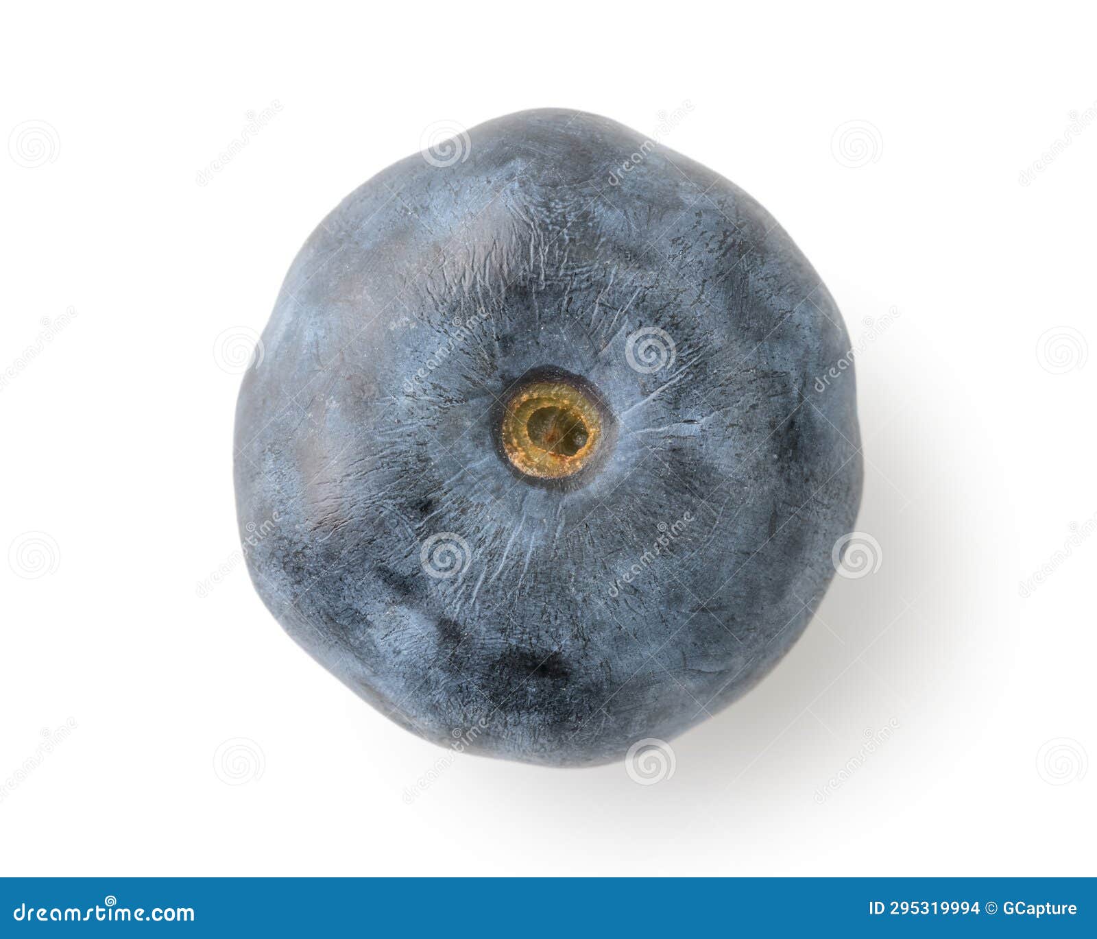 Big Blueberry Isolated on White Background Stock Photo - Image of ...