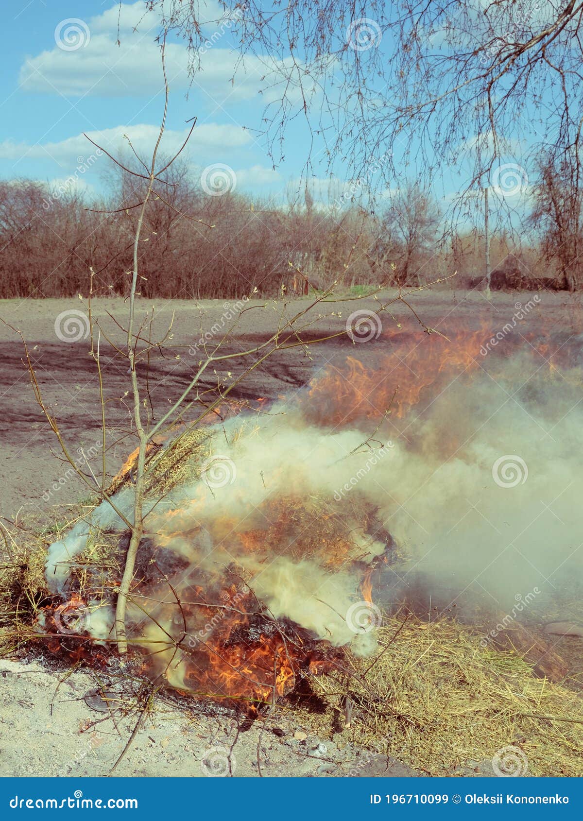 Big Bonfire in the Open Air. a Pile of Ash from Burnt Boards and ...