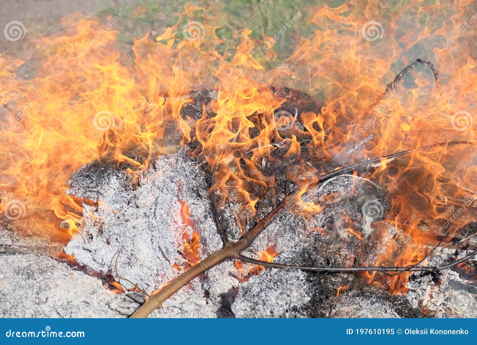 Big Bonfire in the Open Air. a Pile of Ash from Burnt Boards and ...