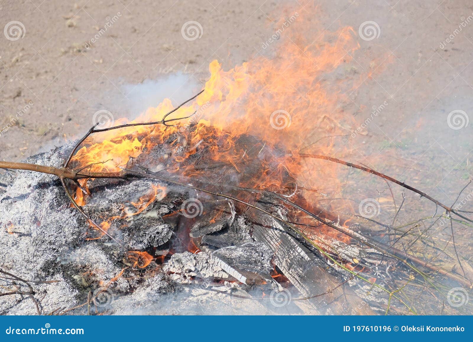 Big Bonfire in the Open Air. a Pile of Ash from Burnt Boards and ...