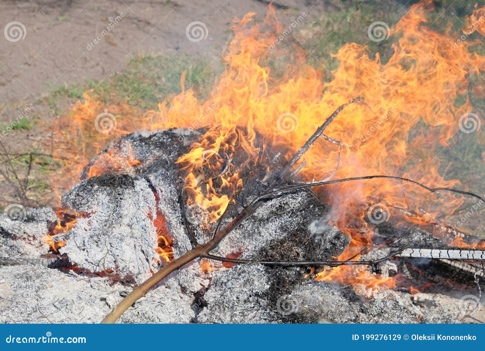 Big Bonfire in the Open Air. a Pile of Ash from Burnt Boards and ...