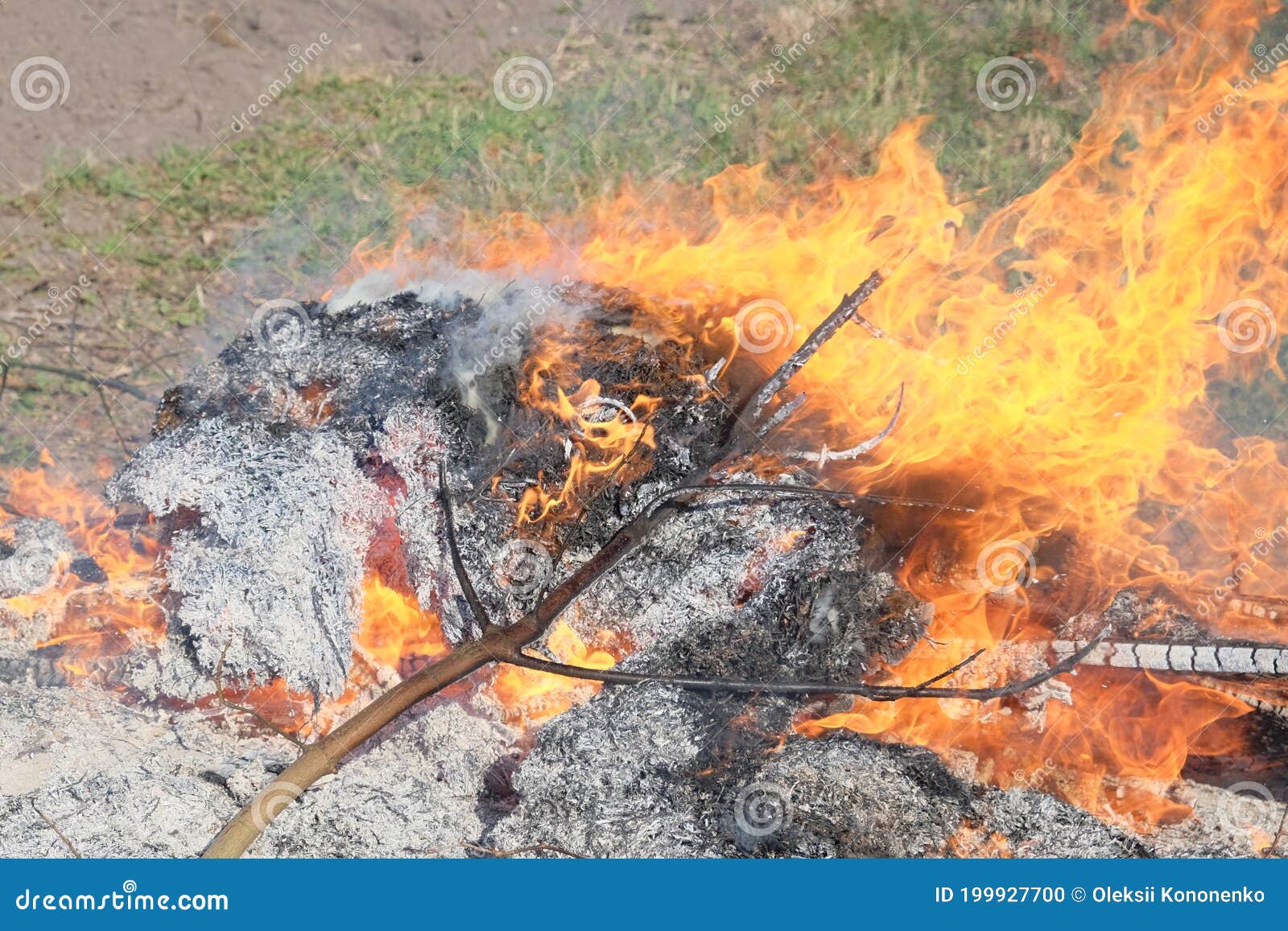 Big Bonfire in the Open Air. a Pile of Ash from Burnt Boards and ...