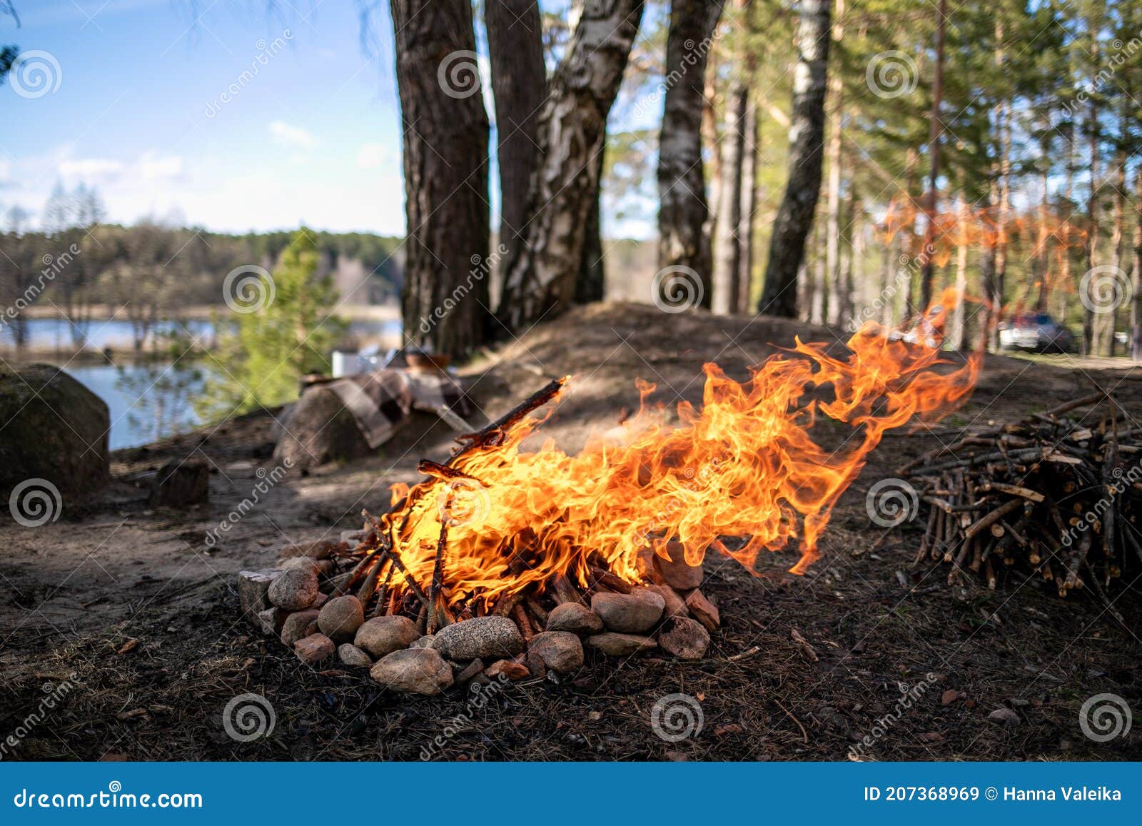 A Big Bonfire in the Spring Forest Stock Image - Image of camp ...