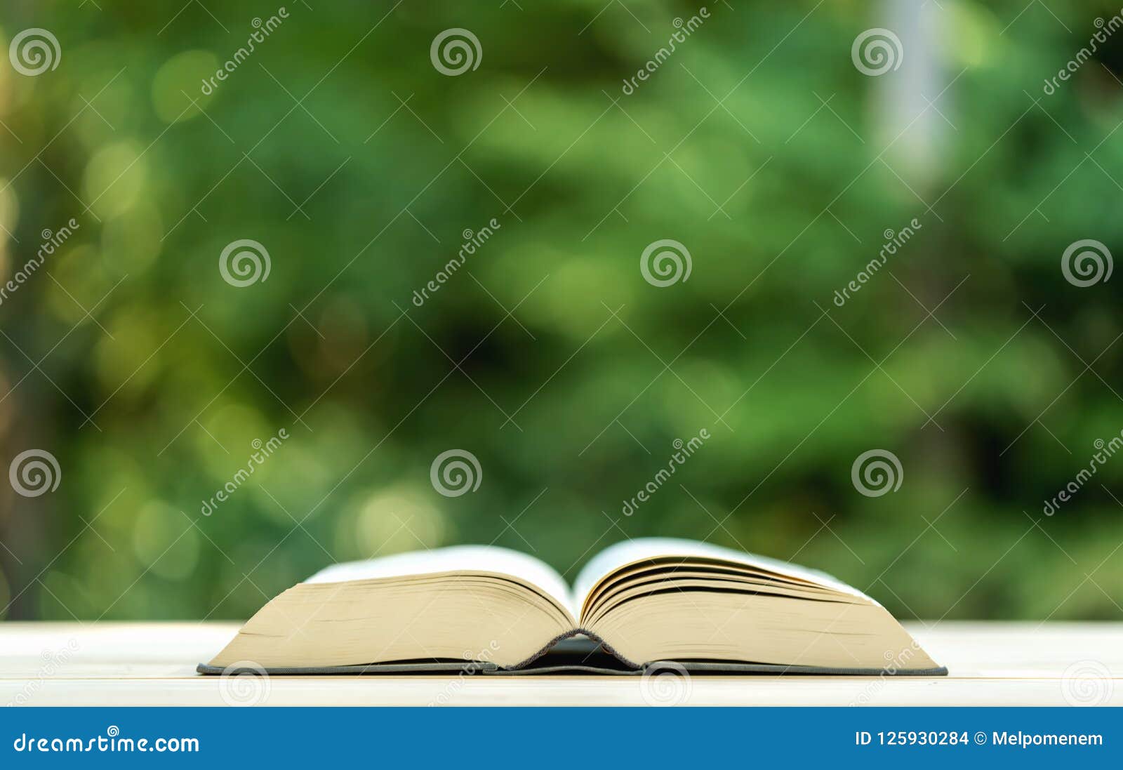 A Big Book on Forest Background Stock Photo - Image of book, books ...