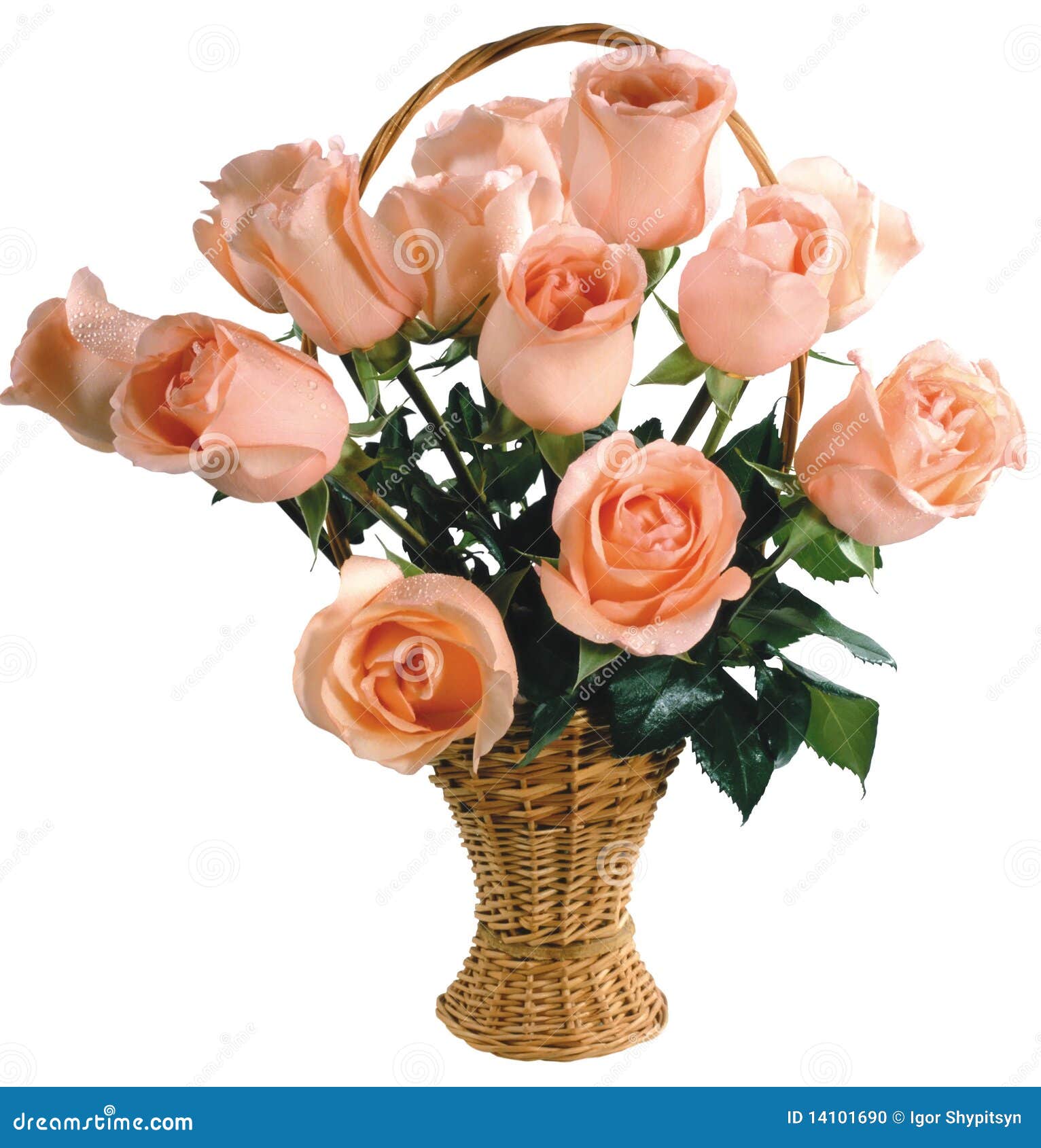 Big Bouguet of Peach Roses. Stock Photo - Image of blossom, stalk: 14101690