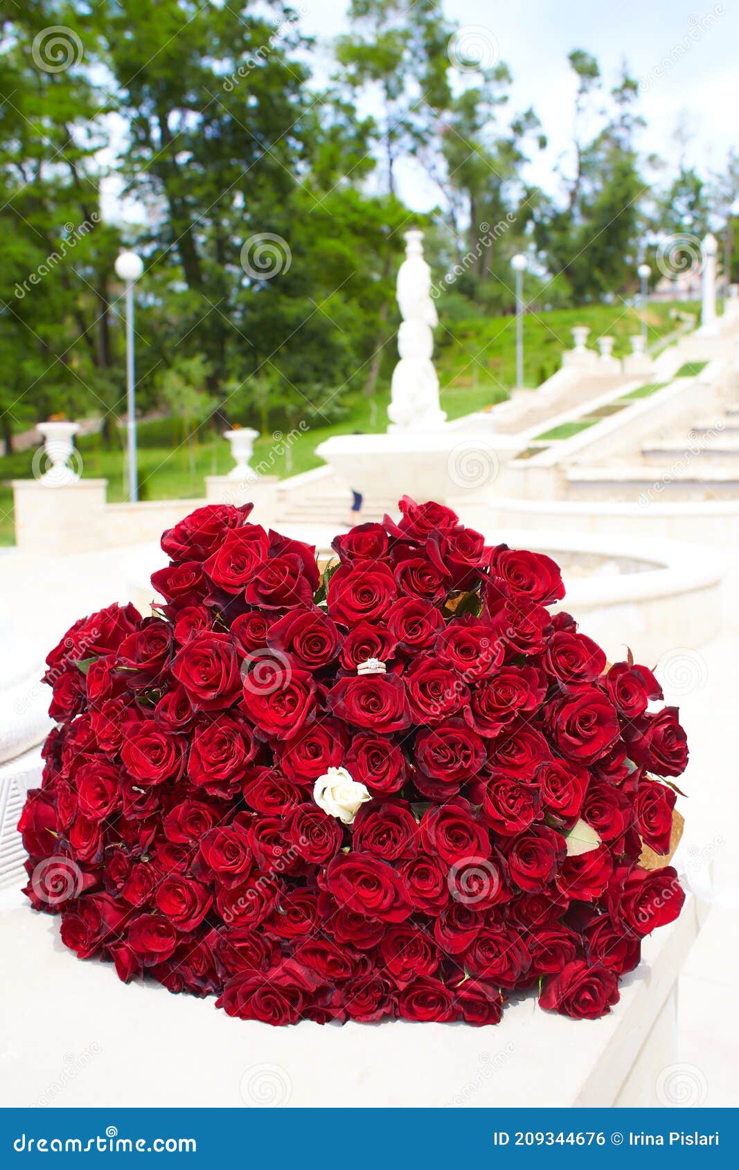 A Big Bouquet of Red Roses. Stock Photo - Image of holiday, outdoor ...