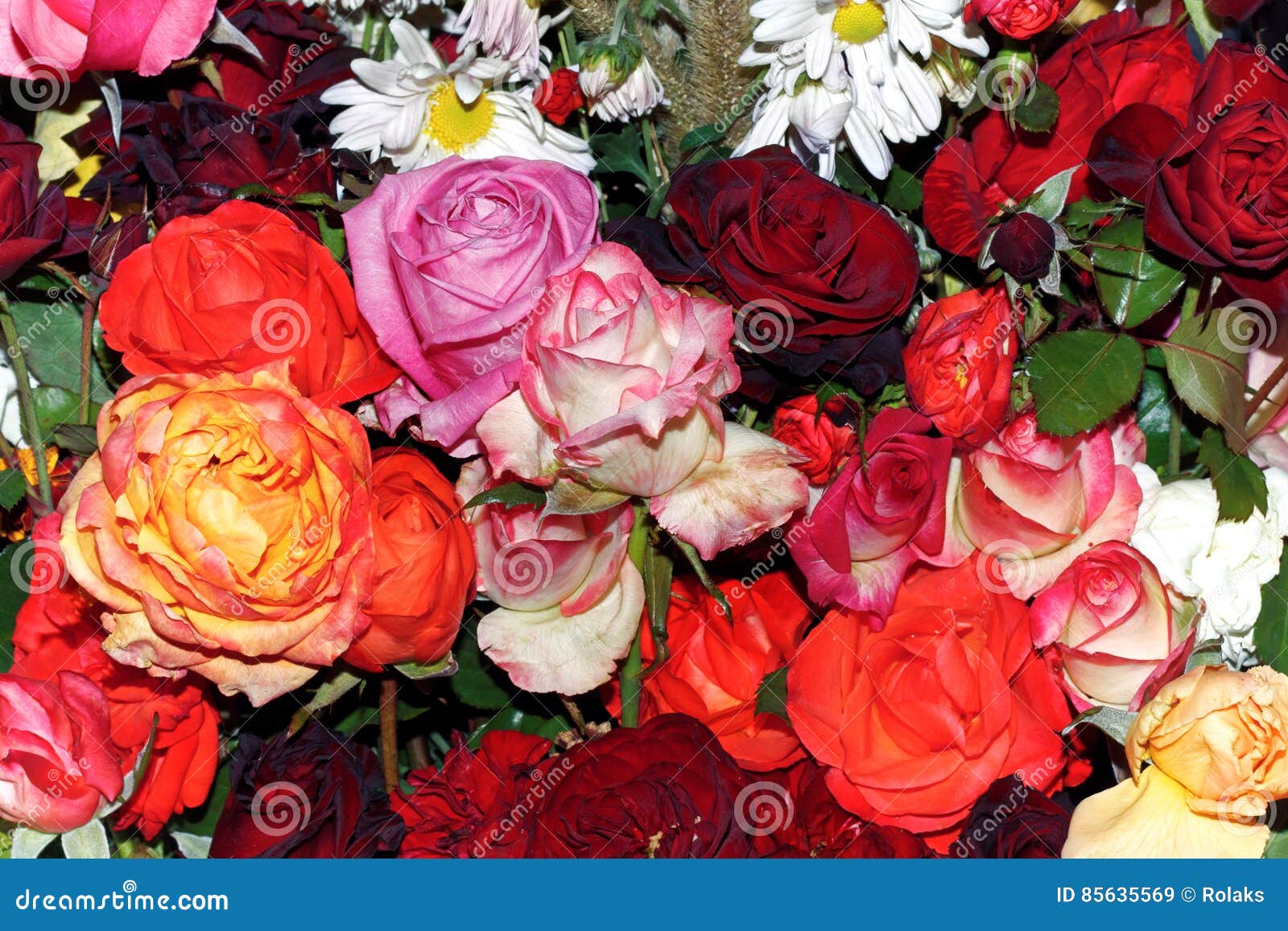Big bouquet of roses stock image. Image of daisy, gift - 85635569