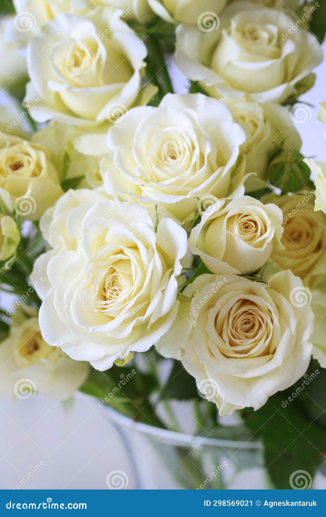 Big Bouquet of Yellow Roses Stock Image - Image of love, fresh: 298569021
