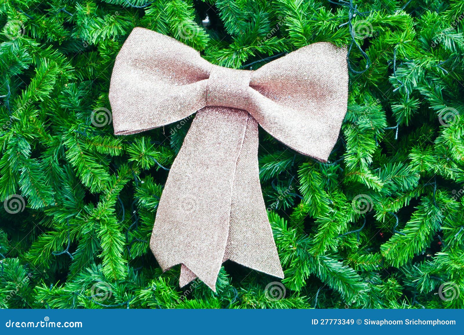 Big bow on green leaf stock image. Image of evergreen - 27773349