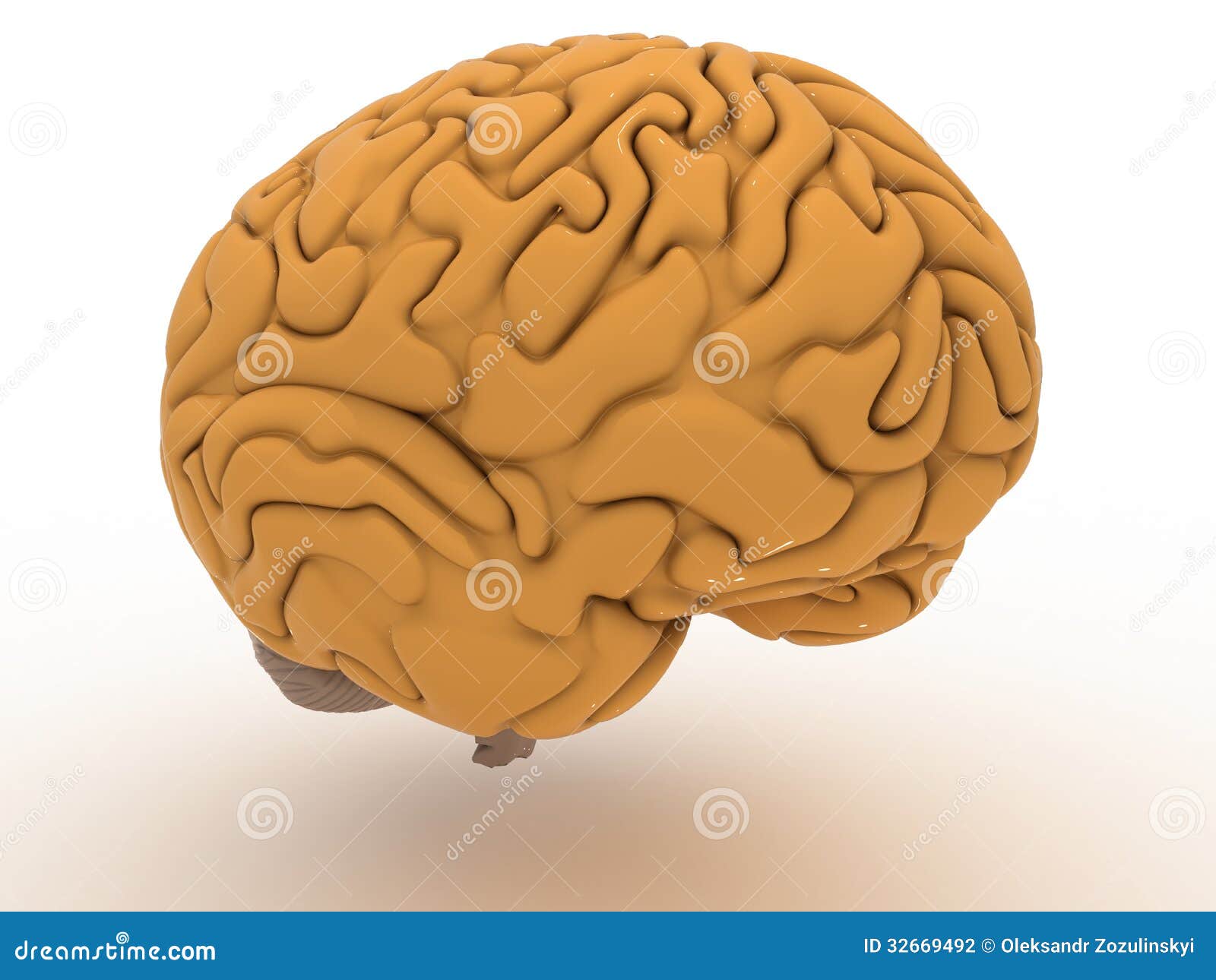 Big Brain #1 stock illustration. Illustration of memory - 32669492