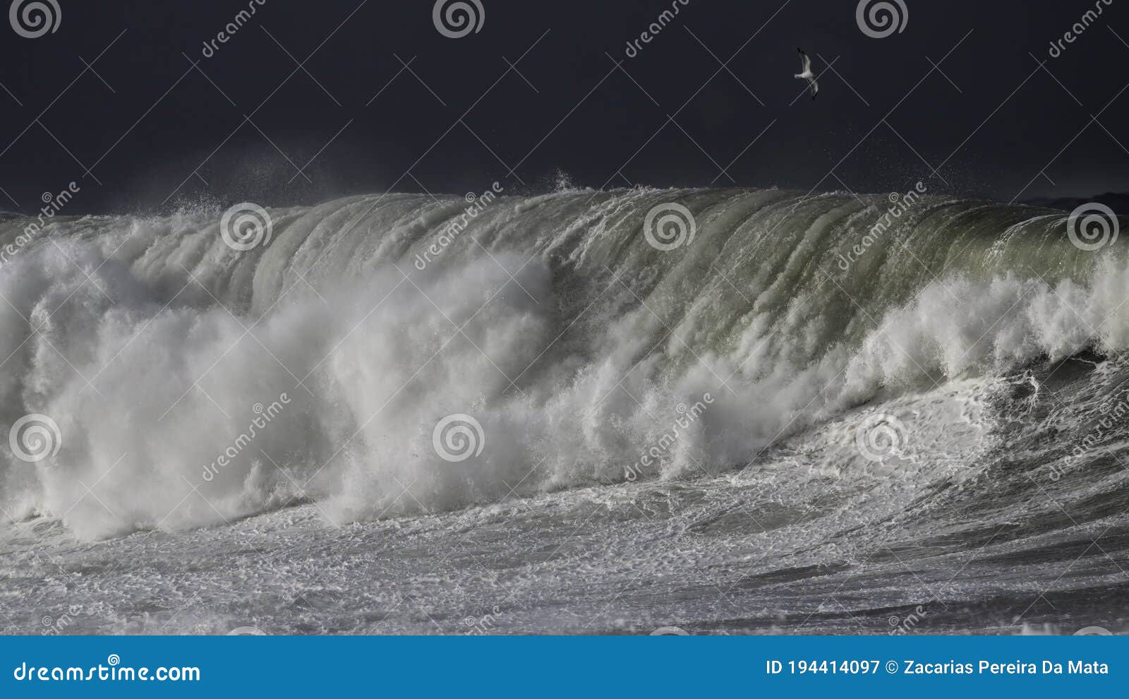 Big breaking wave stock image. Image of beach, natural - 194414097