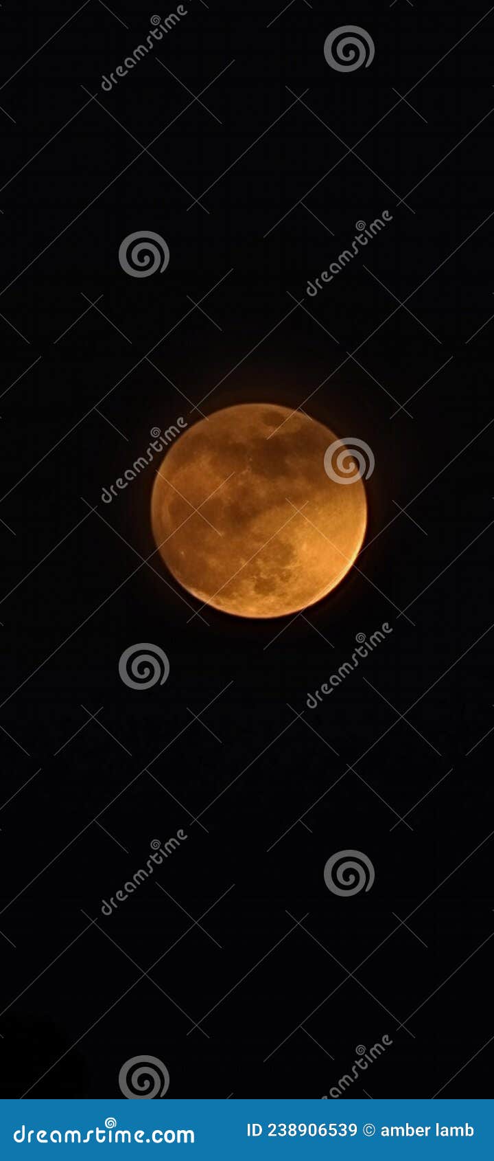 Big bright moon stock image. Image of bright, moon, yellow - 238906539
