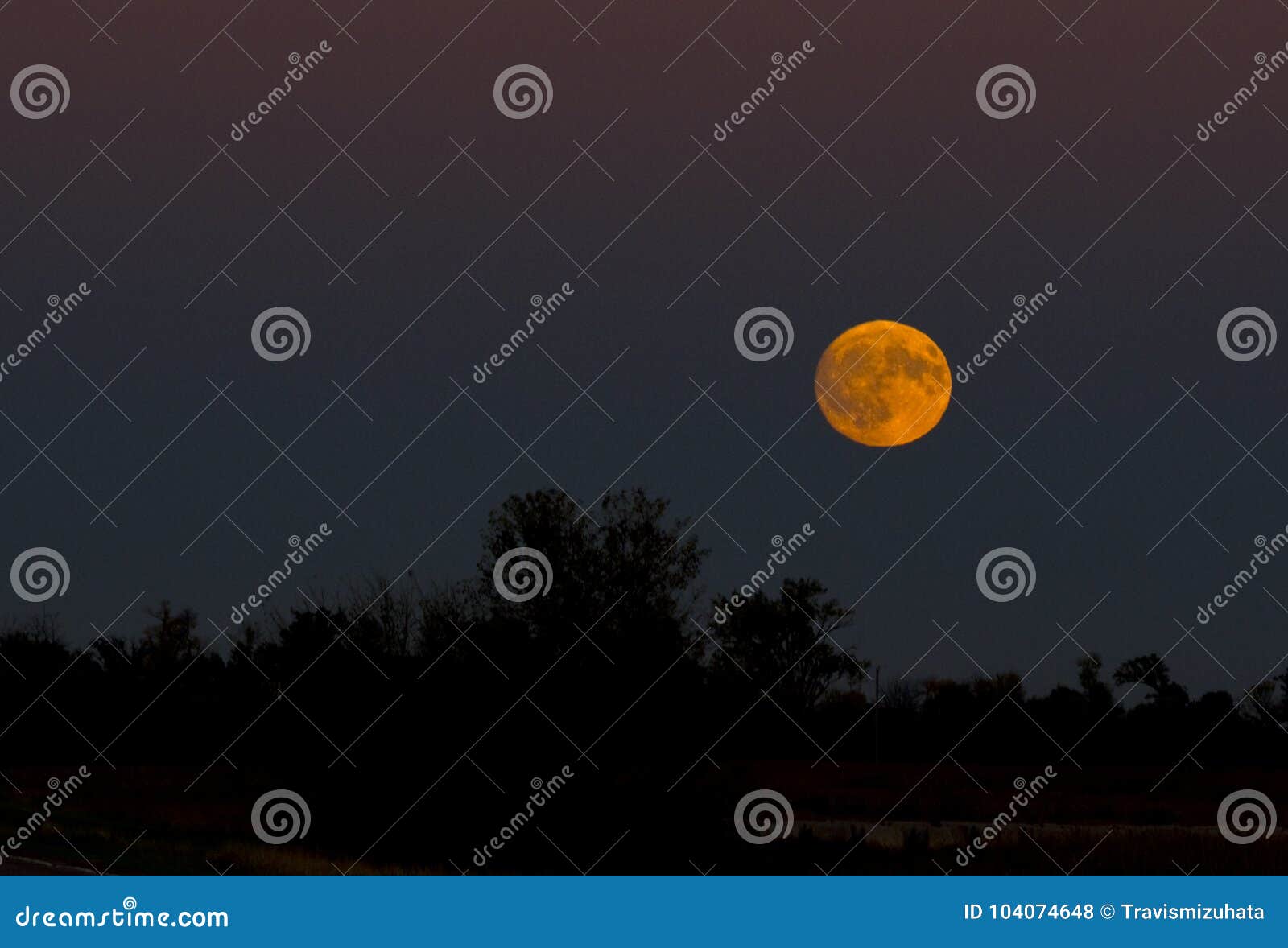 Big Bright Moon in Fall Sky Stock Photo - Image of tree, black: 104074648