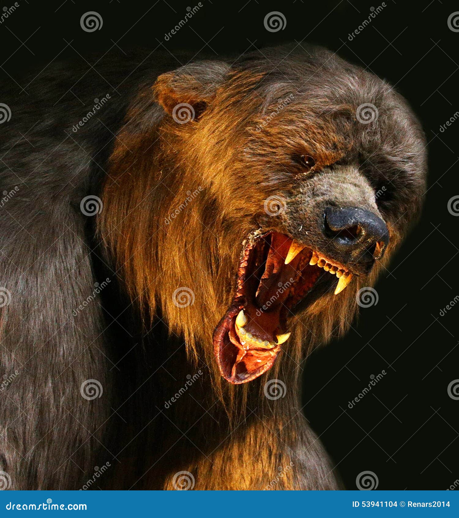 Angry Brown Bear