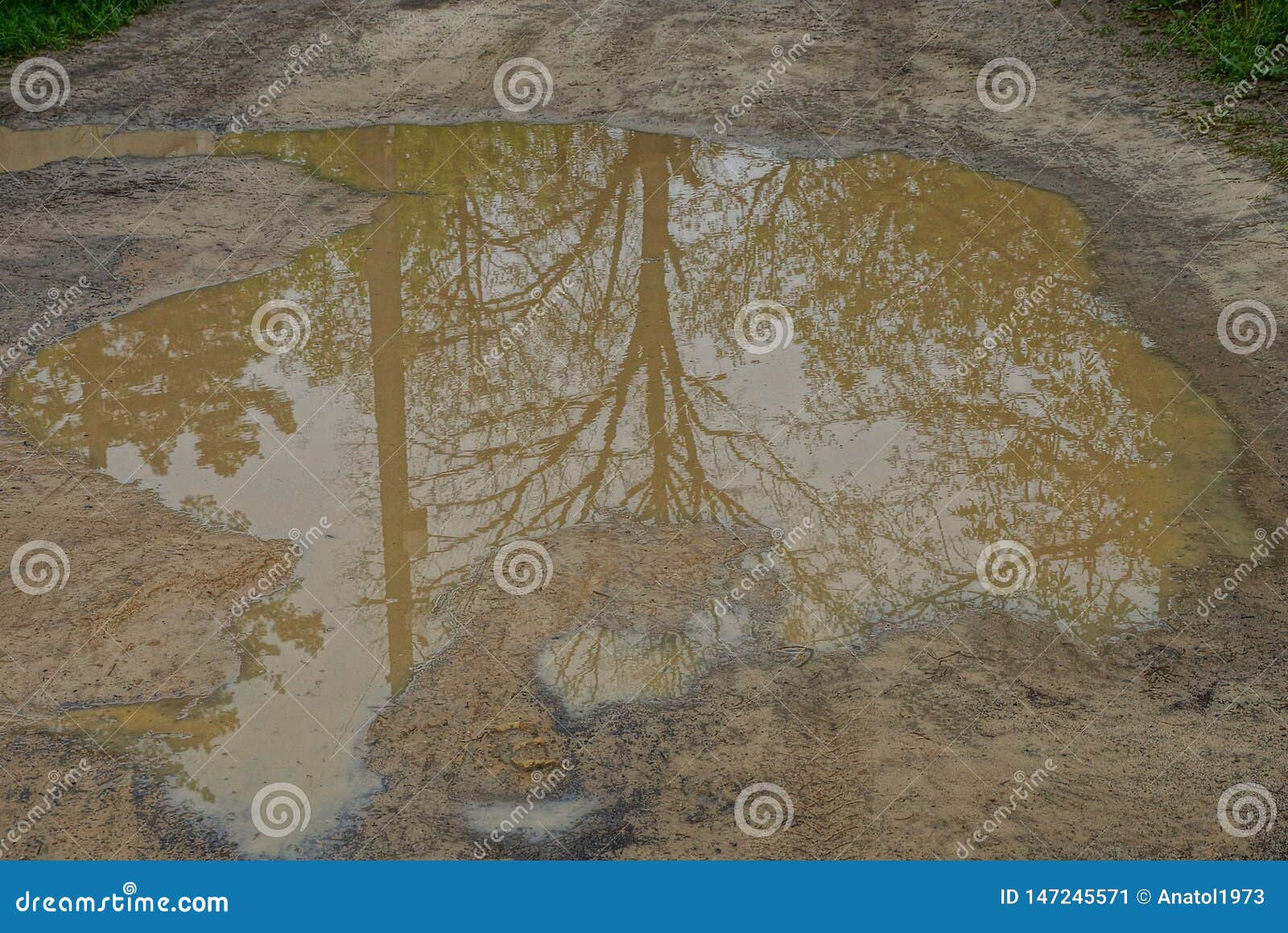Big Brown Muddy Puddle Outside on the Road Stock Image - Image of ...