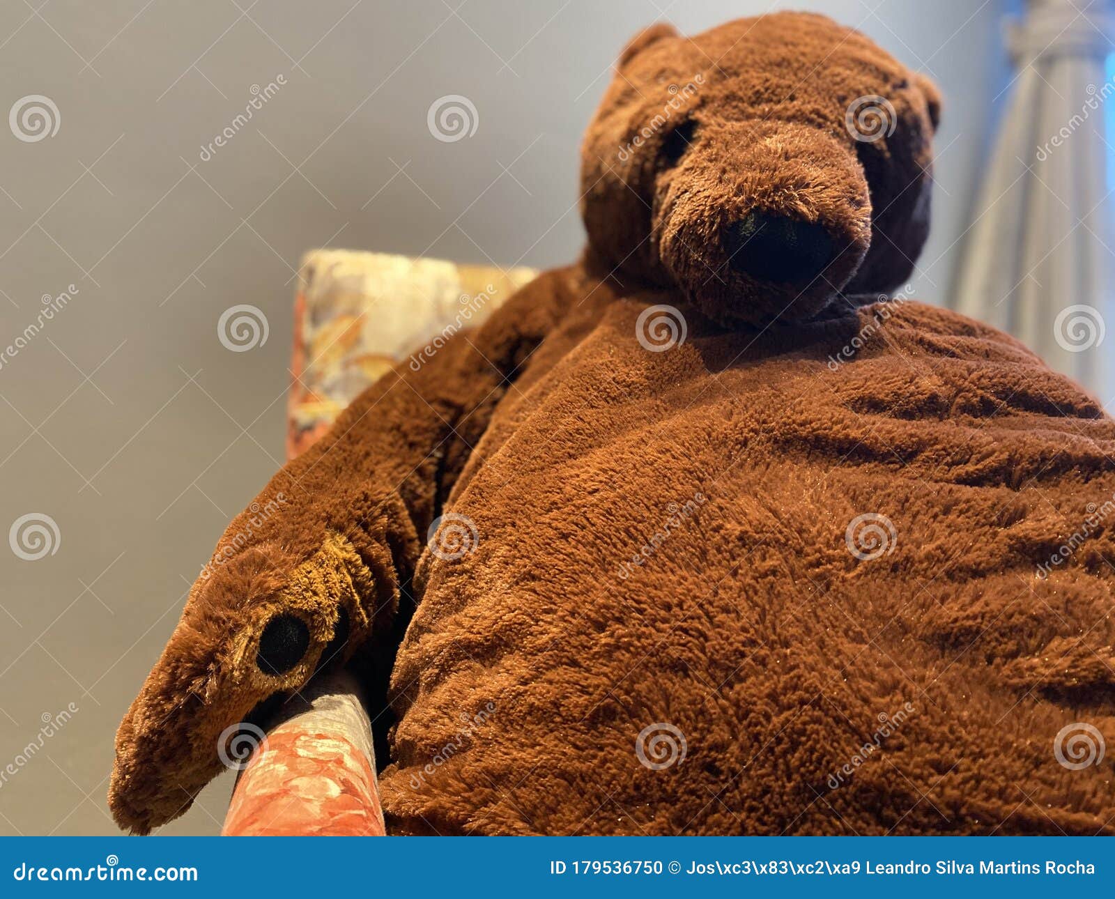 A Big Brown Teddy Bear on the Couch. Stock Photo - Image of couch, bear ...