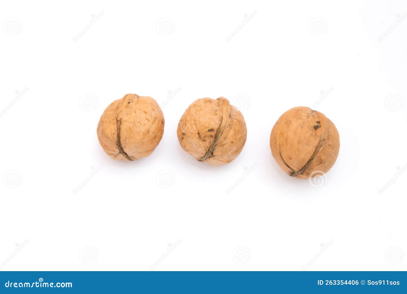 Big Brown Walnut Large Nuts Stock Photo - Image of background, bang ...