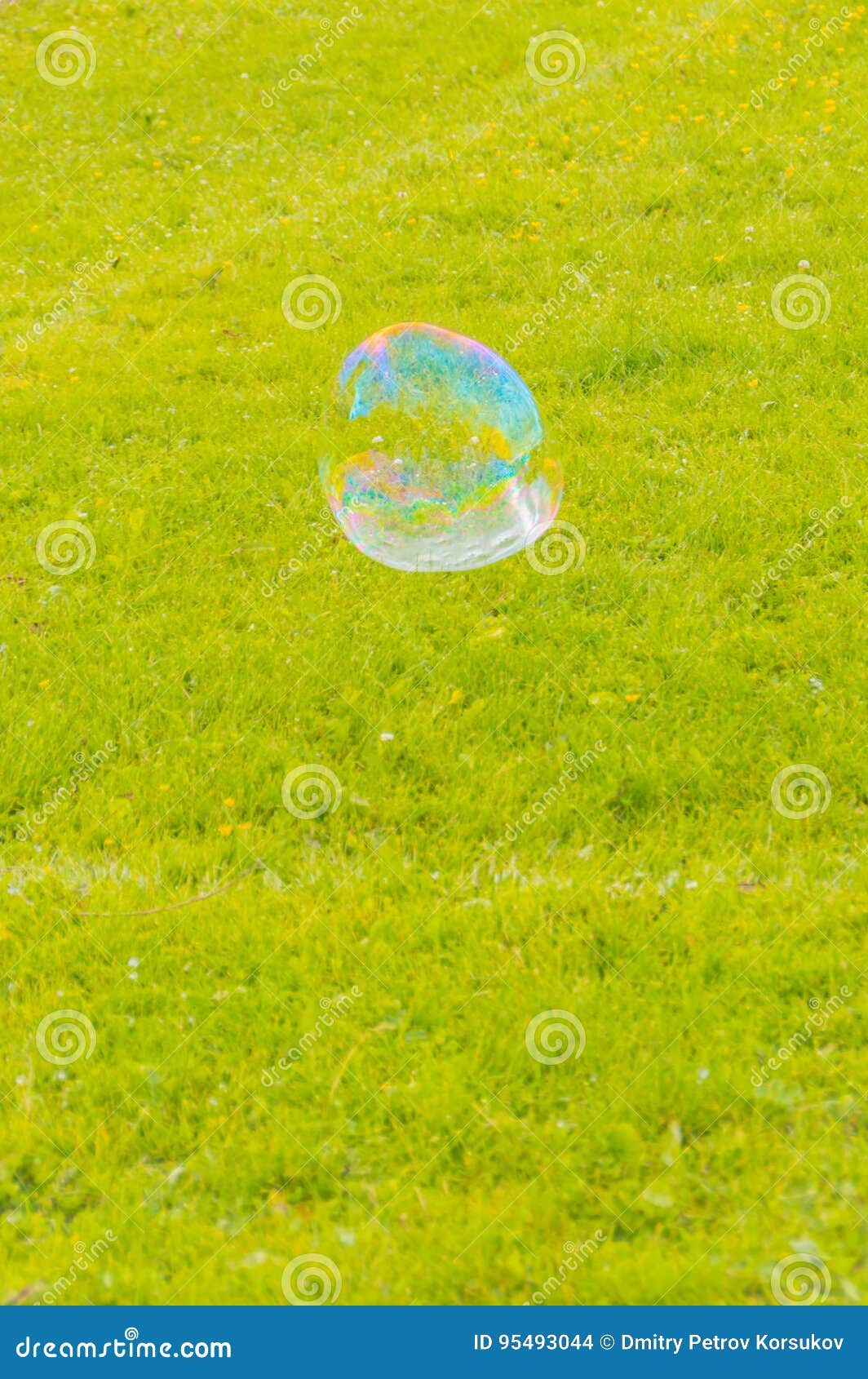 Big Bubble Flies Over the Field. Stock Photo - Image of bubble, foam ...