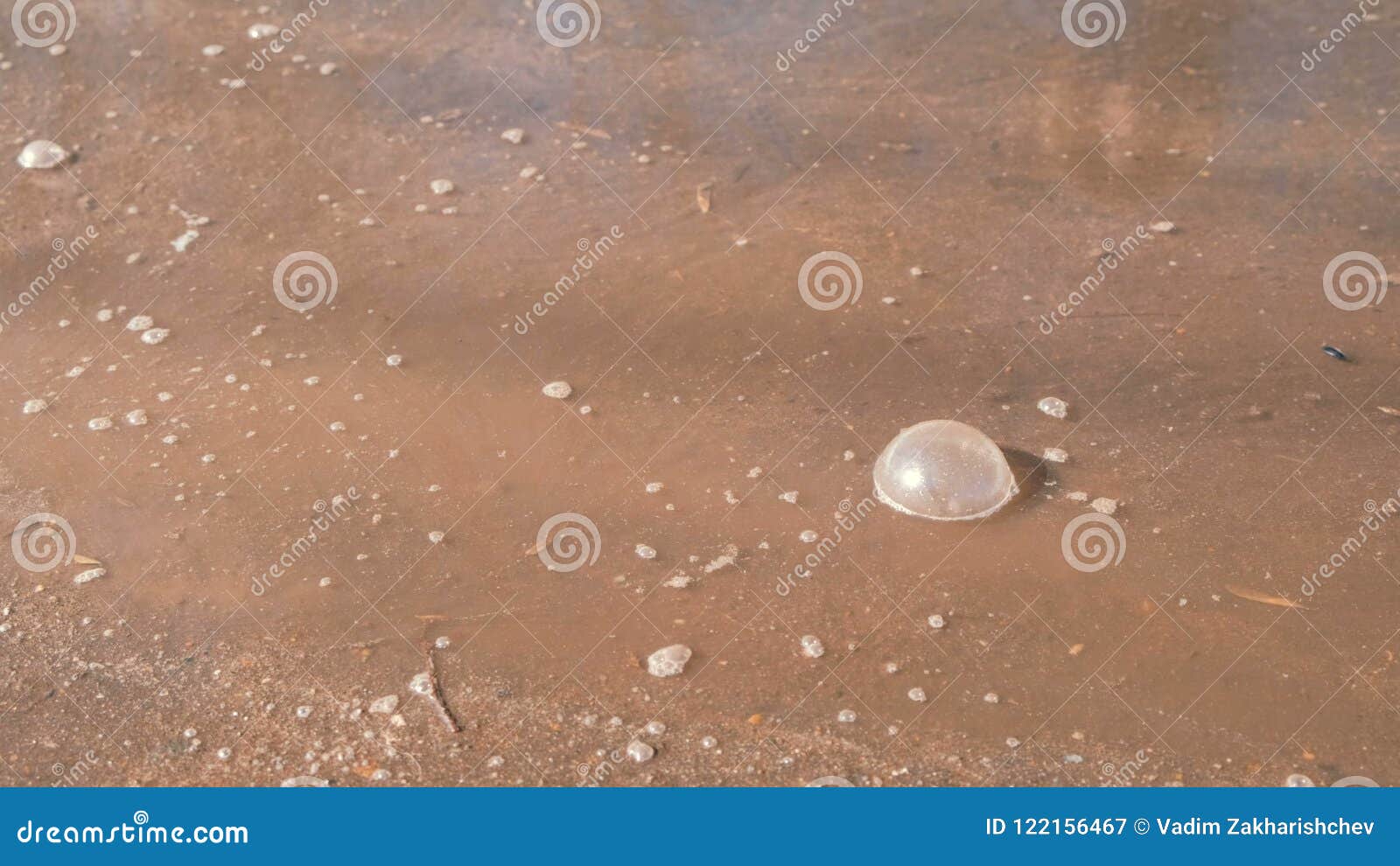 Big Bubbles in Muddy Puddle. Close-up. Stock Video - Video of dirt ...