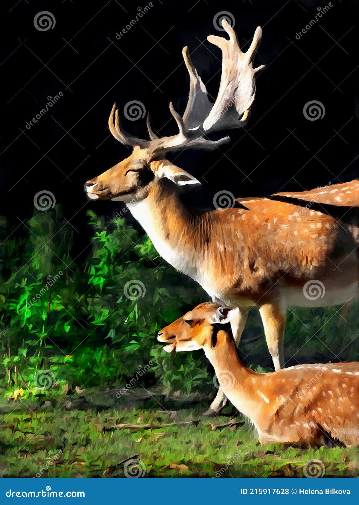 Big Buck Deer Doe stock photo. Image of nature, wildlife - 215917628