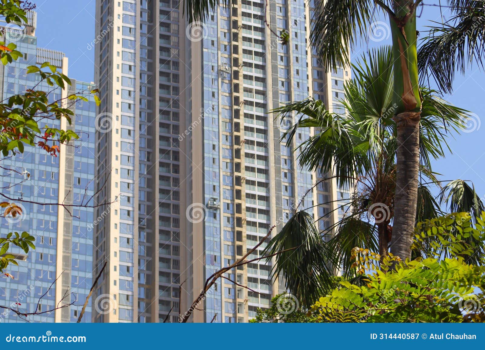 Big Building Around Green Tree and Plants Stock Image - Image of ...