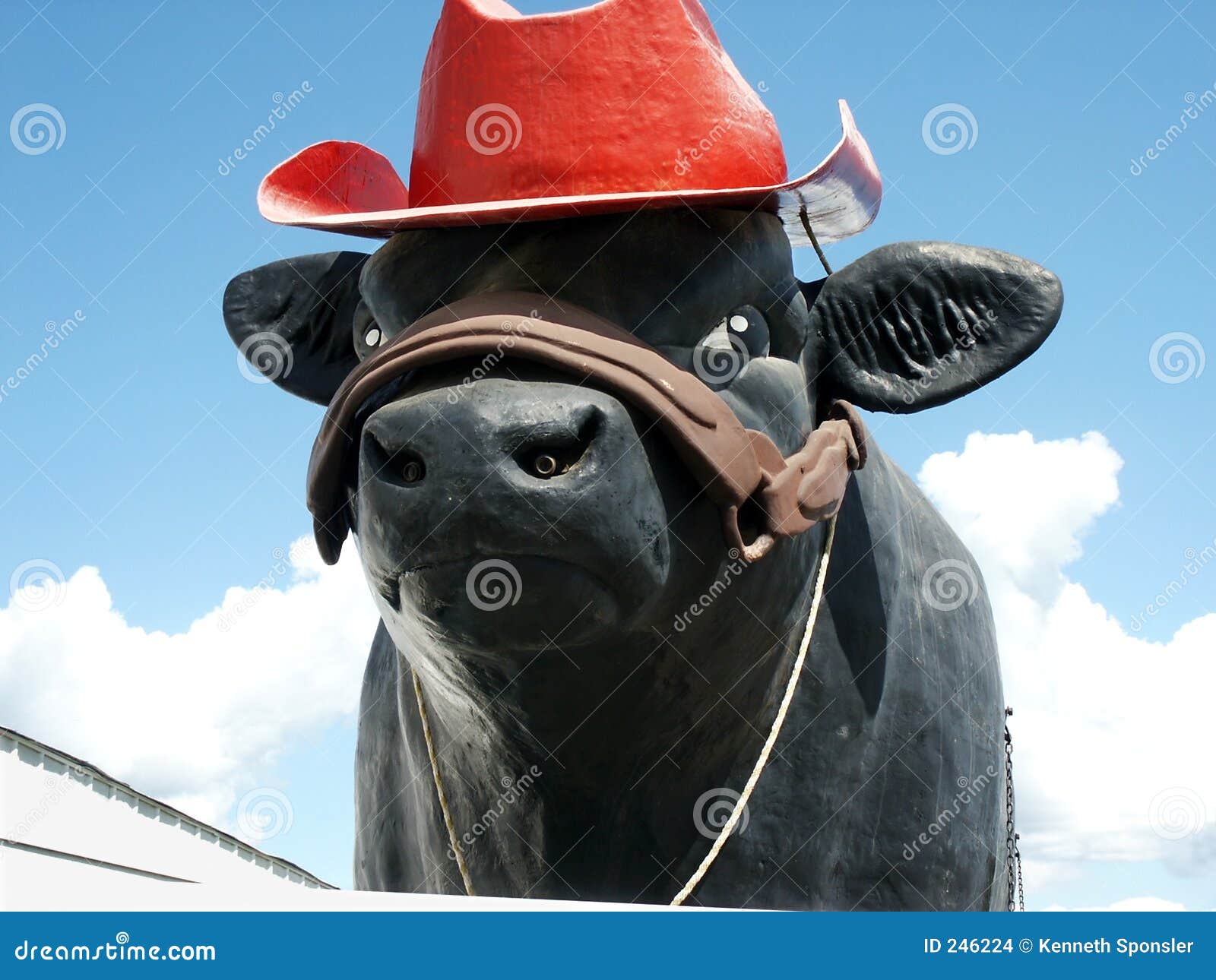 Big Bull stock photo. Image of ears, county, black, head - 246224
