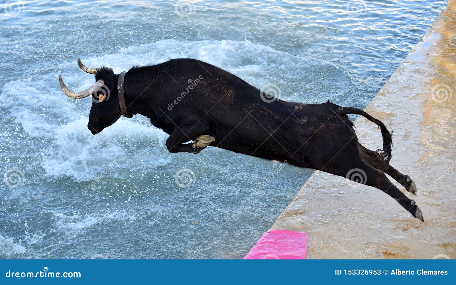 Big Bull in the Spanish Sea Stock Image - Image of angry, fierce: 153326953