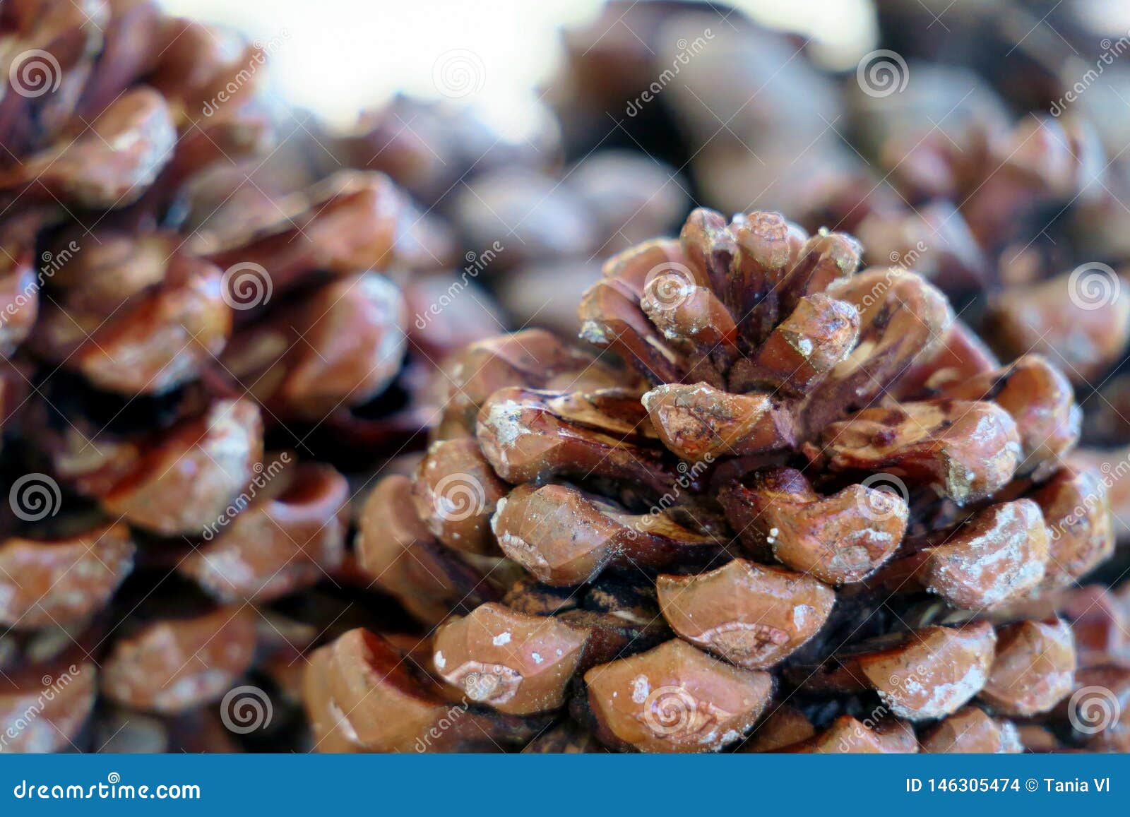 Big Bumps on a White Background Close-up Stock Photo - Image of closeup ...