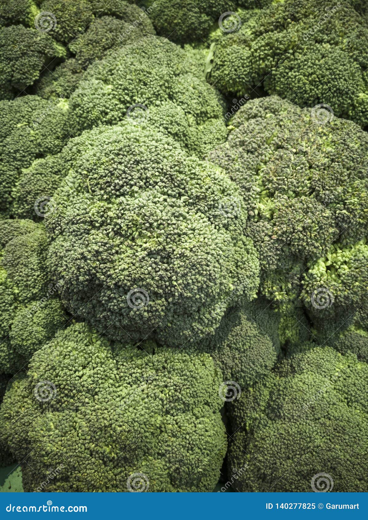 Big bunch of broccoli stock image. Image of broccoli - 140277825