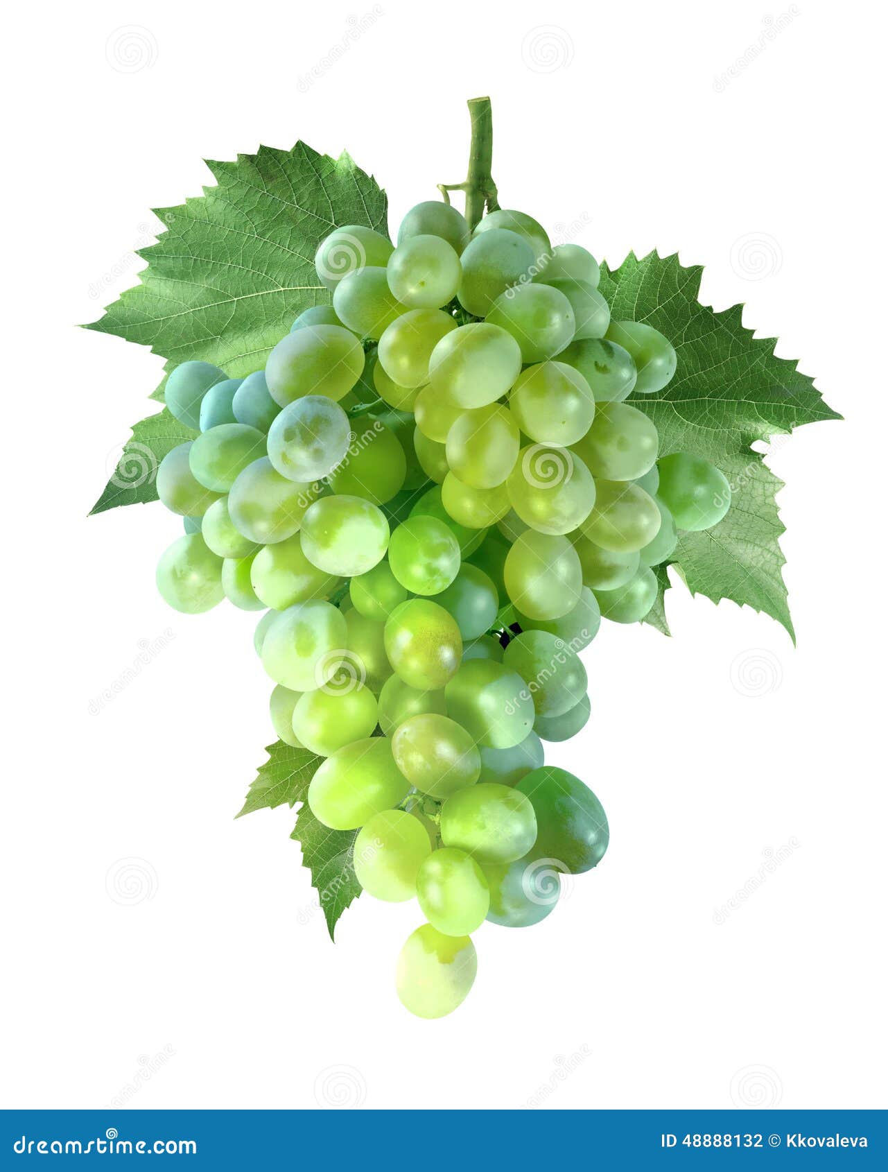 Big Bunch of Green Grapes Isolated on White Background Stock Photo ...