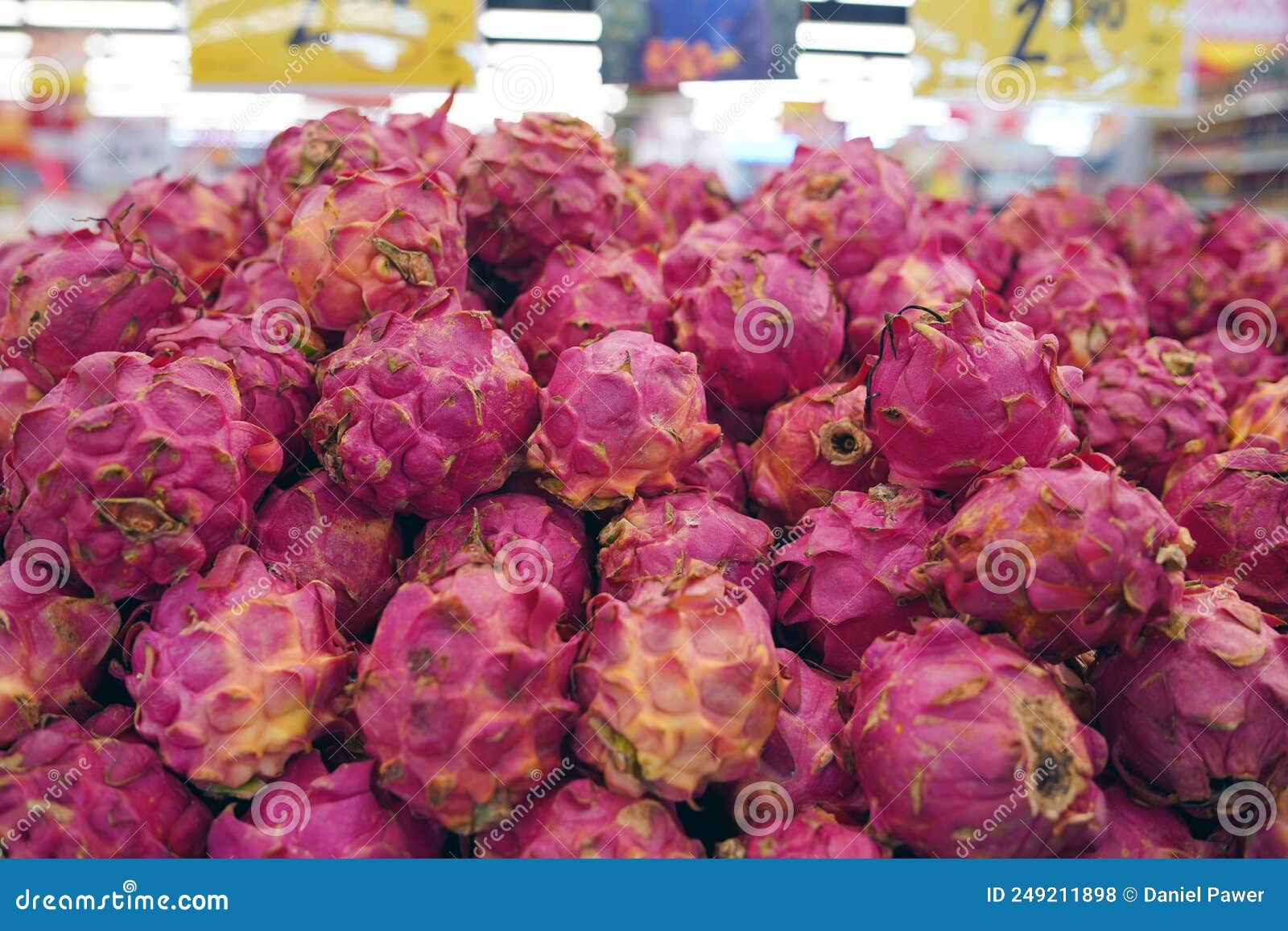 Big Bunch of Pink Dragon Fruits Stock Photo - Image of bright, flora ...