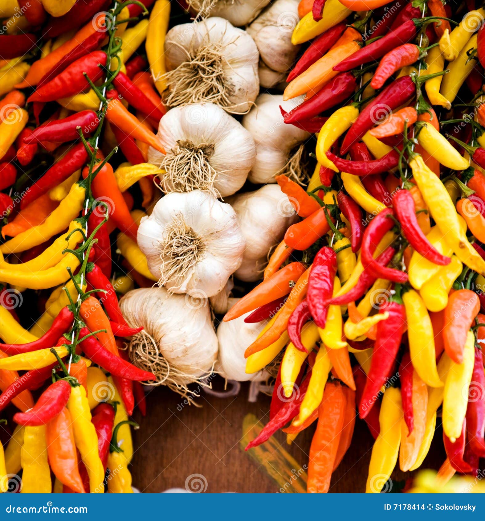 Big Bunch of Red Hot Chilli Pepper Stock Photo - Image of ecology ...