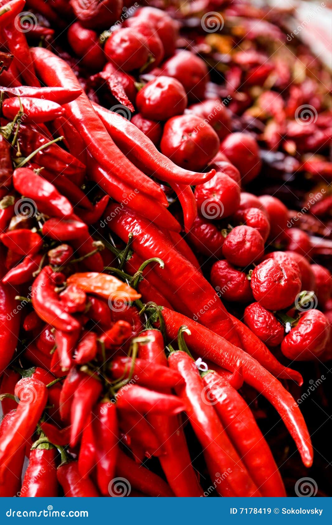 Big Bunch of Red Hot Chilli Pepper Stock Image - Image of closeup ...