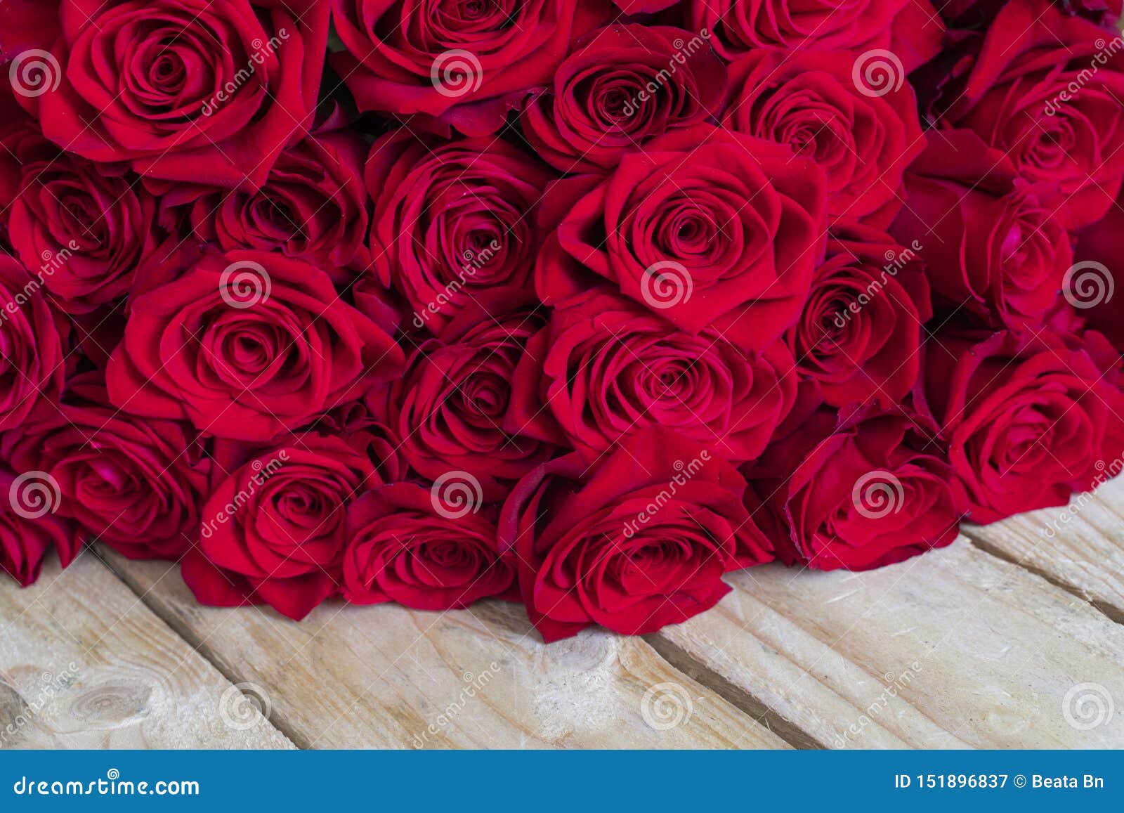 Big bunch of the roses stock image. Image of beautiful - 151896837