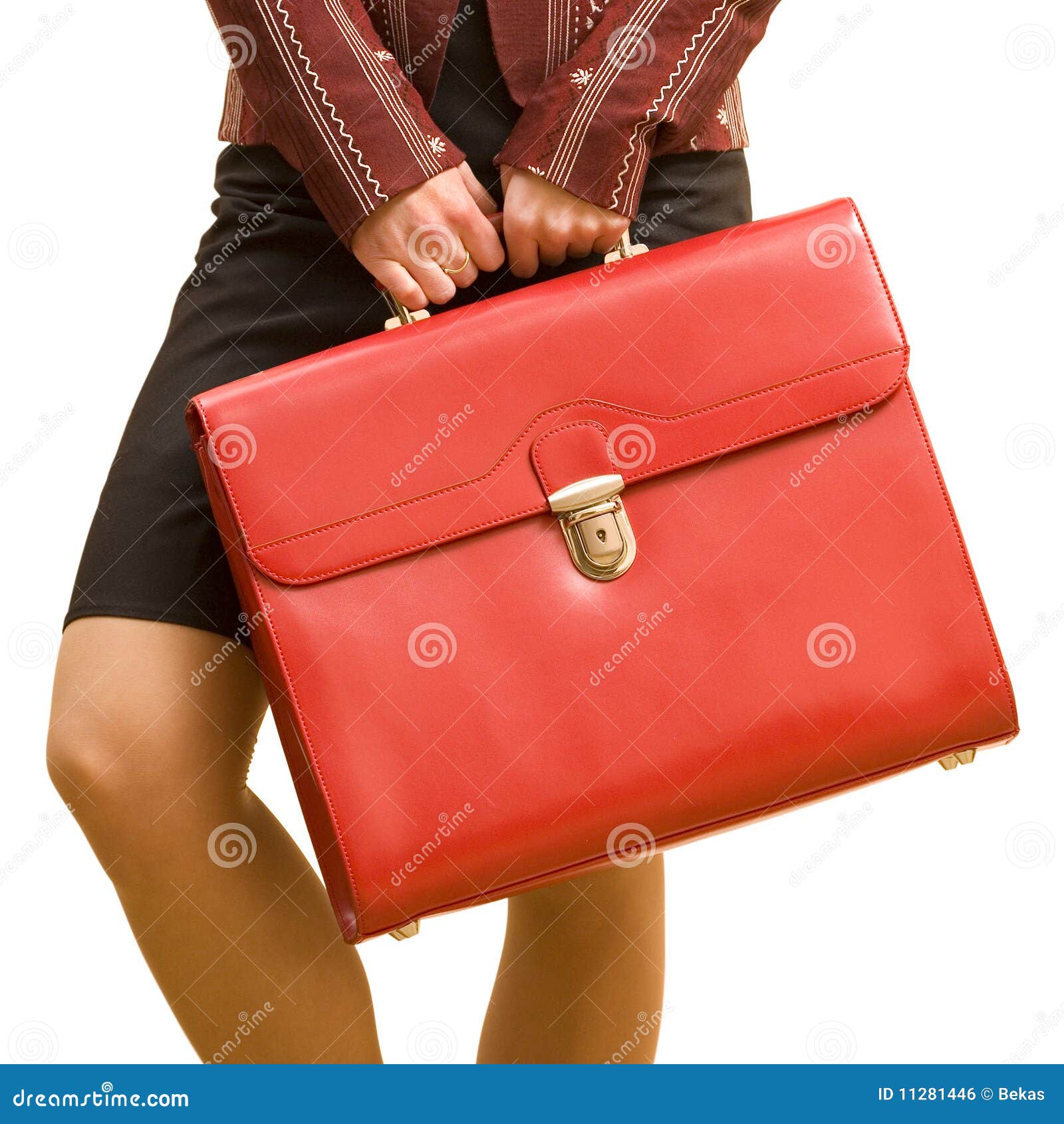 Big business brief-case stock photo. Image of isolated - 11281446